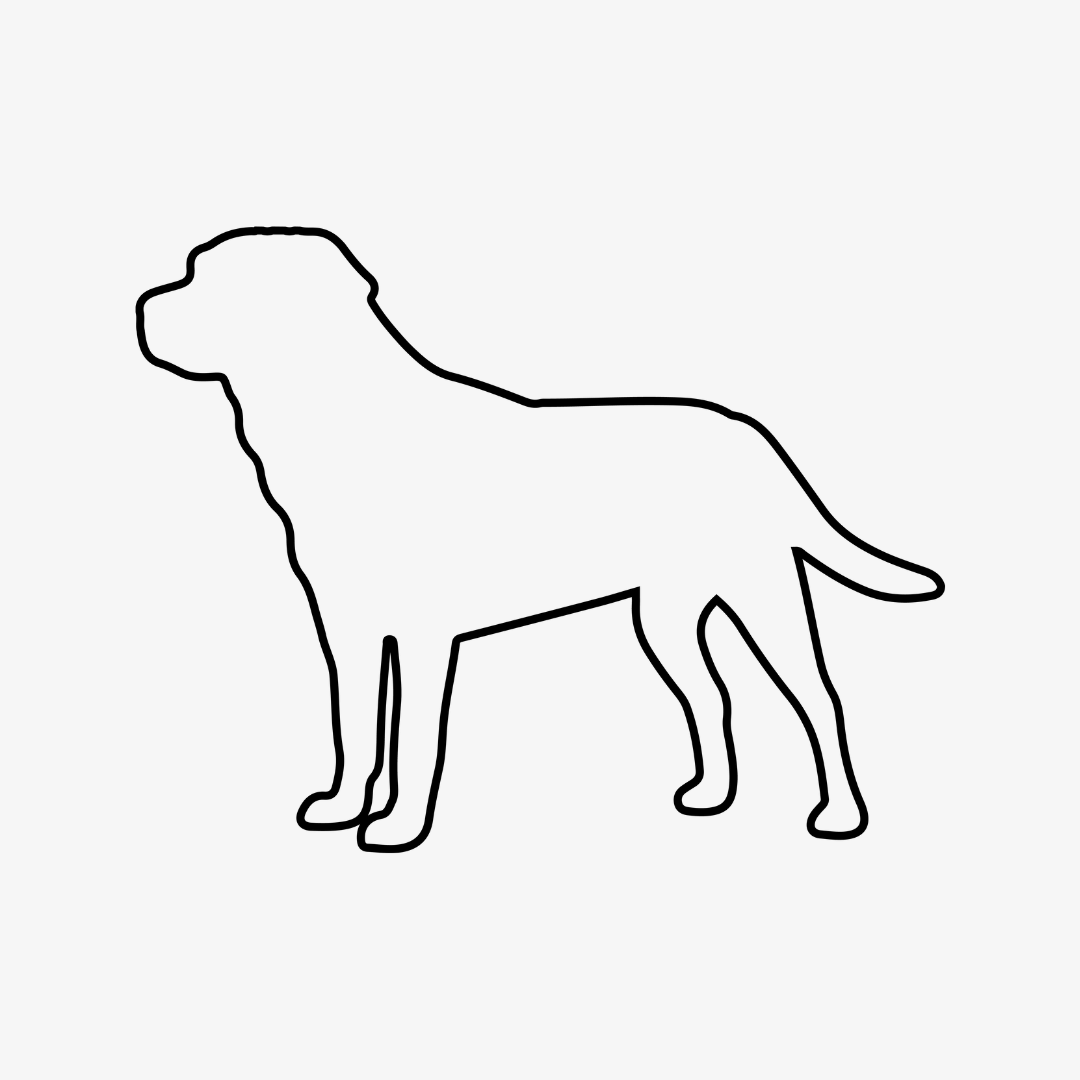 Labrador Gifts For Dog Lovers Pooch Free UK Delivery Page 2 labrador-gifts-for-dog-lovers-pooch-free-uk-delivery-page-2