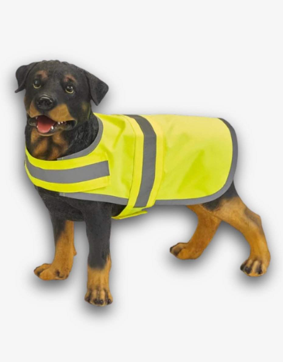 Hi Vis Dog Coat | Pooch | Free UK Delivery